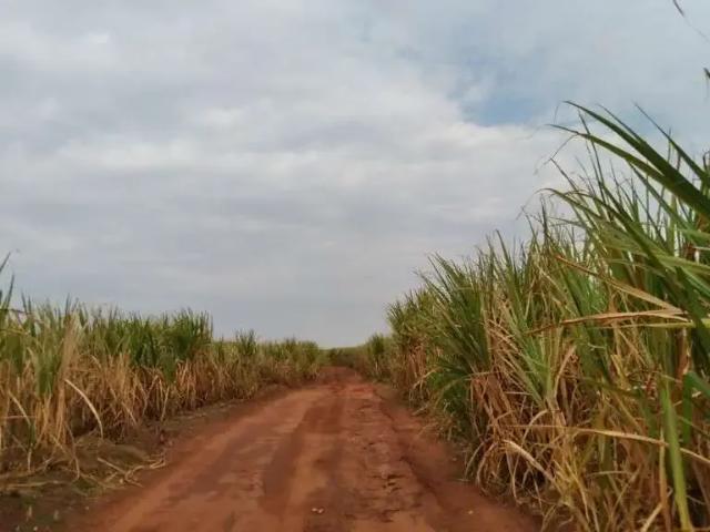 Fazenda para Venda em União de Minas/MG Zona Rural