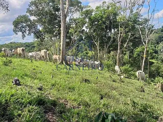 Fazenda para Venda em Ubaitaba/BA Zona Rural 1 Quartos