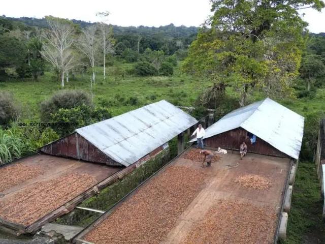Fazenda para Venda em Ubaitaba/BA Zona Rural