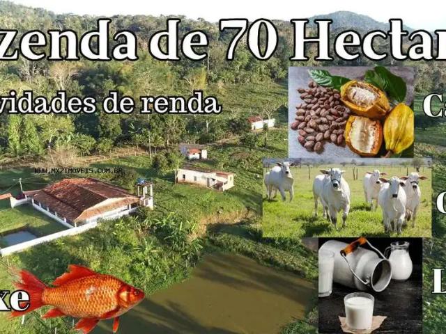 Fazenda para Venda em Ubaitaba/BA Zona Rural 4 Quartos