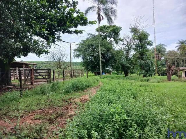 Fazenda para Venda em Uberaba/MG Área Rural de Uberaba