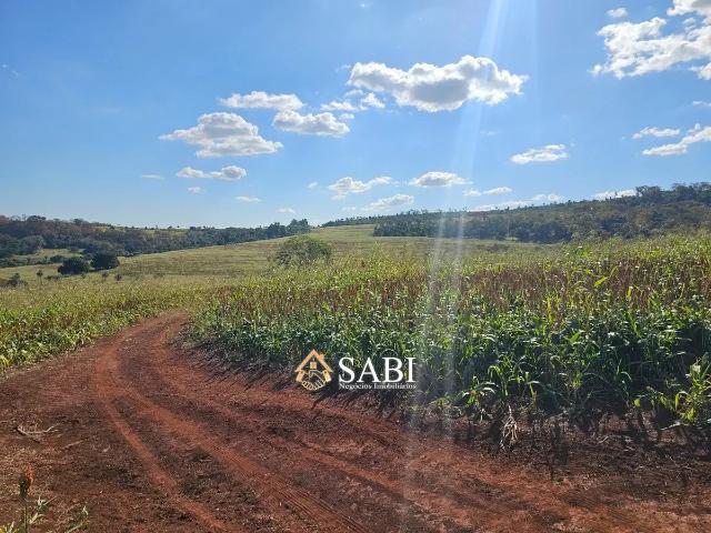 Fazenda para Venda em Uberaba/MG Área Rural de Uberaba