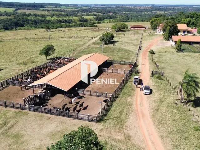Fazenda para Venda em Uberaba/MG Centro 2 Quartos
