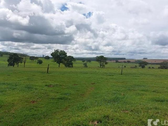 Fazenda para venda em Uberlândia