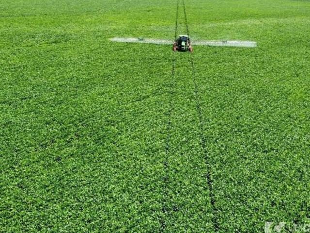 Fazenda para venda em Uberlândia
