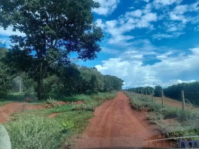 Fazenda para Venda em Uberlândia/MG Área Rural de Uberlândia