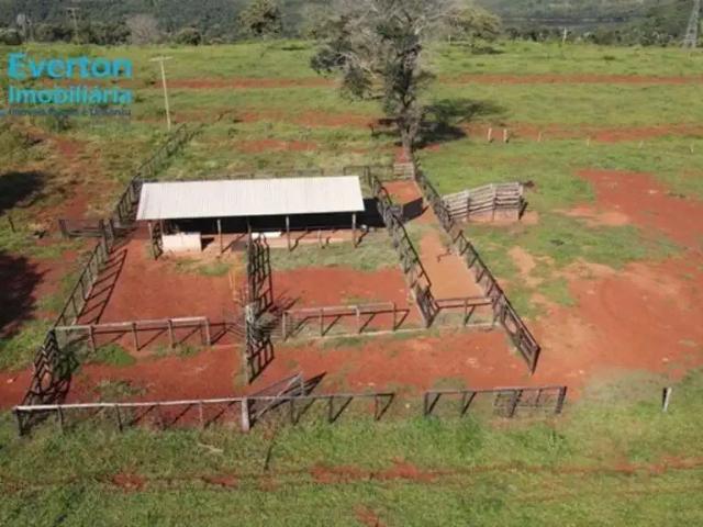Fazenda para Venda em Uberlândia/MG Área Rural de Uberlândia