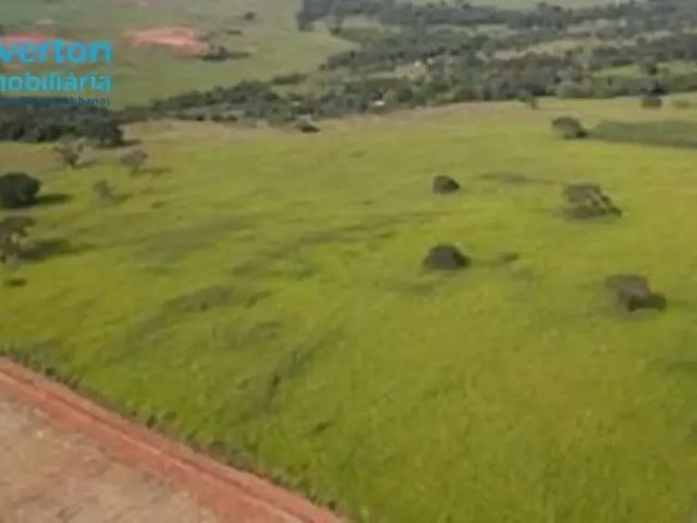 Fazenda para Venda em Uberlândia/MG Área Rural de Uberlândia