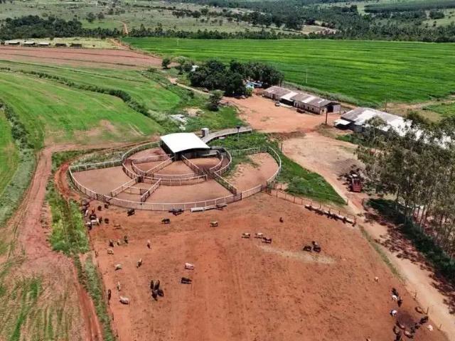 Fazenda para Venda em Uberlândia/MG Área Rural de Uberlândia