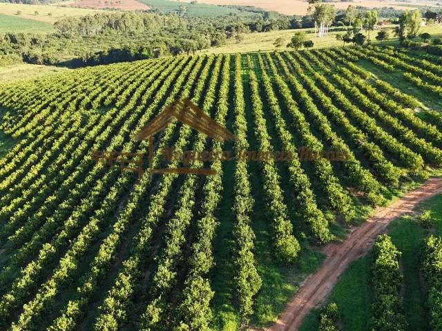 Fazenda para Venda em Ubirajara/SP Zona Rural