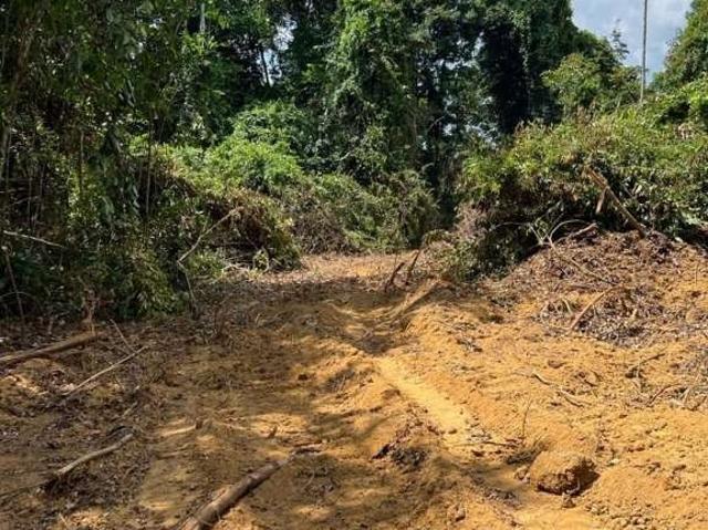 Fazenda para Venda em Ulianópolis/PA Zona Rual