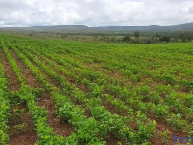 Fazenda para Venda em Uruaçu/GO Zona Rural