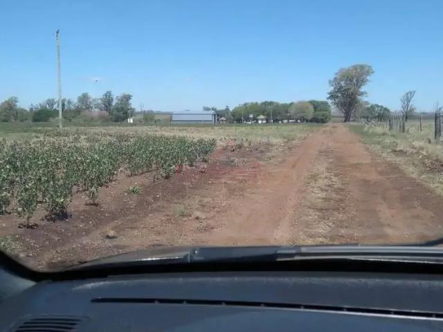 Fazenda para Venda em Uruguaiana/RS Plano Alto