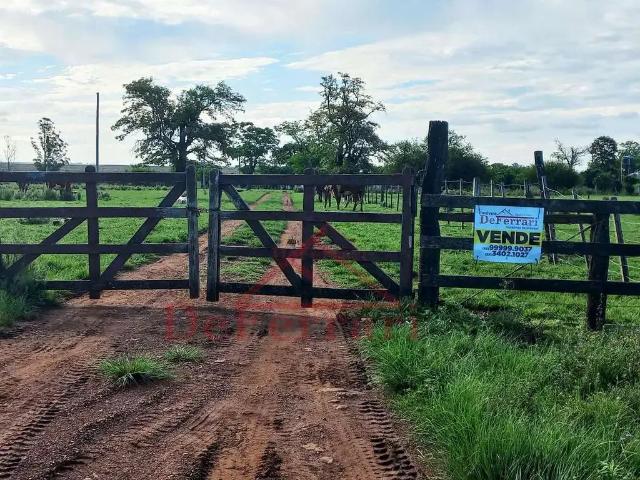 Fazenda para Venda em Uruguaiana/RS União das Vilas 5 Quartos
