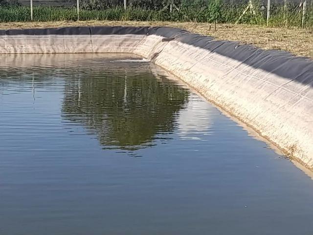 Fazenda para Venda em Votuporanga/SP Zona Rural