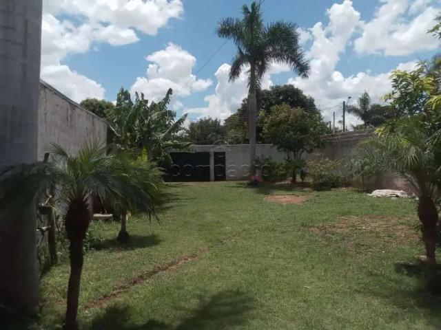 Fazenda para Venda em Votuporanga/SP Carvalho 3 Quartos