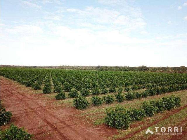 Fazenda para Venda em Votuporanga/SP Centro