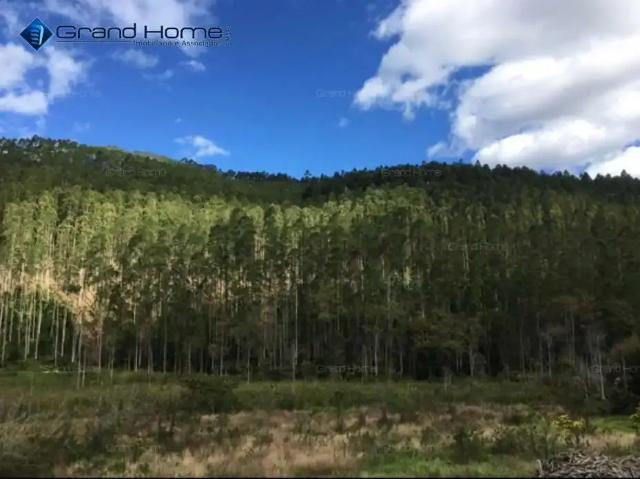 Fazenda para Venda em Vargem Alta/ES Centro