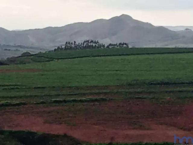Fazenda para Venda em Vargem Bonita/MG Zona Rural