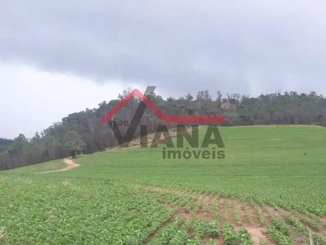 Fazenda para Venda em Vargem Grande do Sul/SP Zona Rural