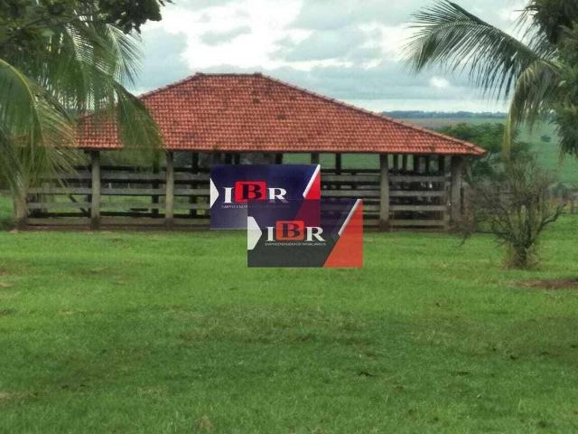 Fazenda para Venda em Vargem Grande do Sul/SP Jardim Bela Vista