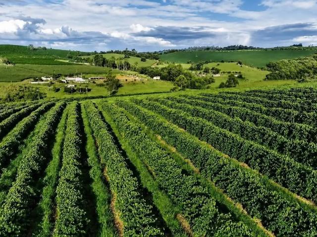 Fazenda para Venda em Varginha/MG Centro