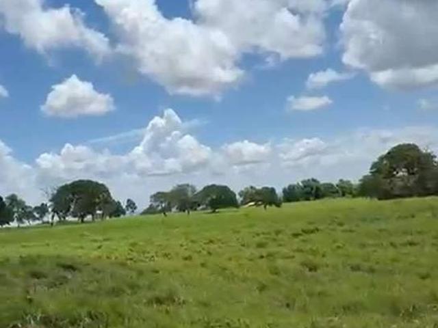 Fazenda para Venda em Várzea da Palma