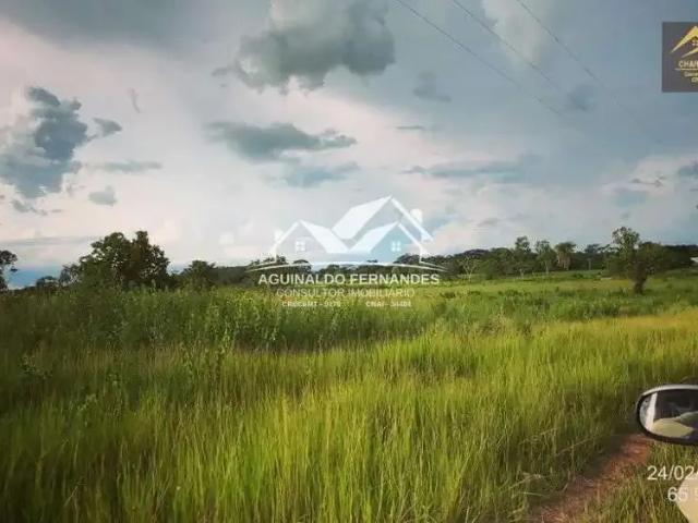 Fazenda para Venda em Várzea Grande/MT Área Rural de Várzea Grande 4 Quartos