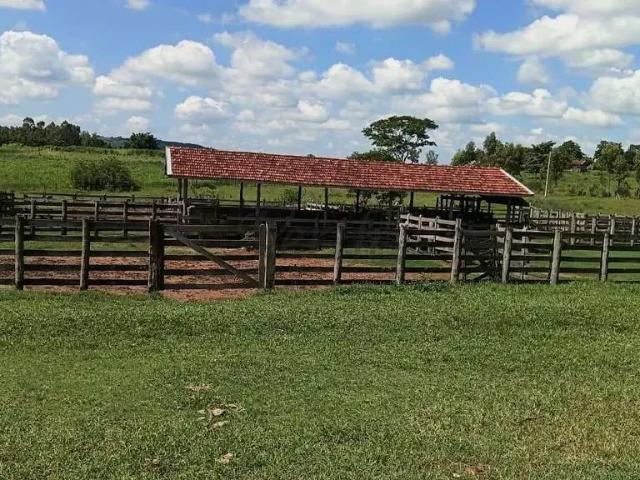 Fazenda para Venda em Vera Cruz/SP Centro 1 Quartos