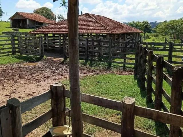Fazenda para Venda em Vera Cruz/SP Centro 4 Quartos
