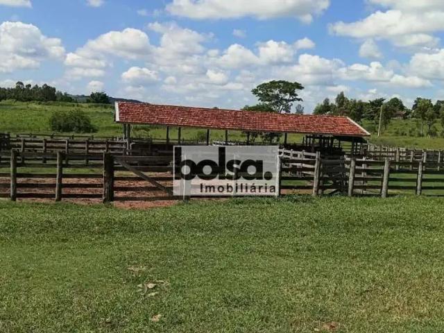 Fazenda para Venda em Vera Cruz/SP Área Rural de Vera Cruz