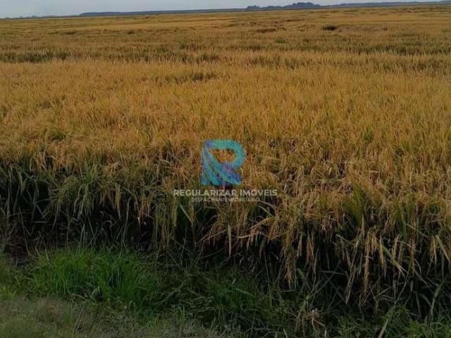 Fazenda para Venda em Viamão/RS Águas Claras