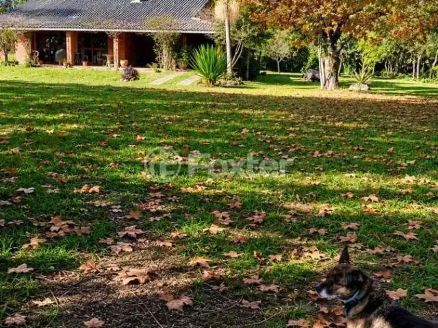 Fazenda para Venda em Viamão/RS Morro Grande 4 Quartos