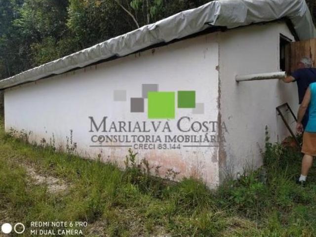 Fazenda para venda em Vila Élvio, Piedade