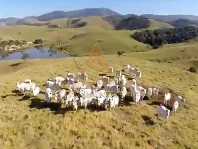 Fazenda para venda em Vila Galvão, Caçapava