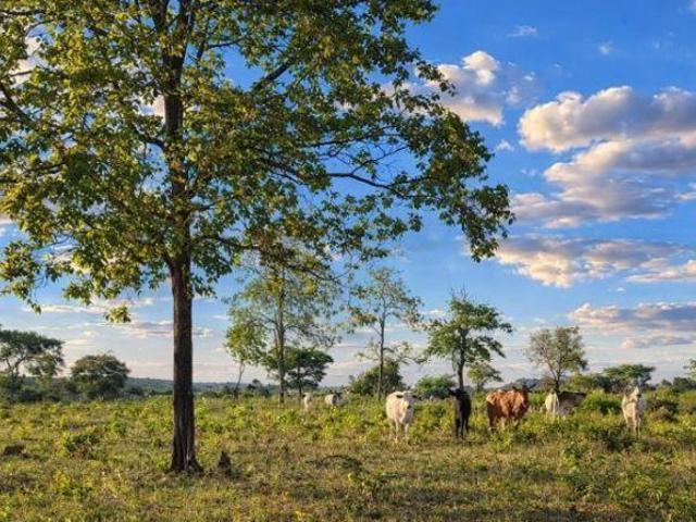 Fazenda para venda em Vila Jardim Rio Claro, Jataí