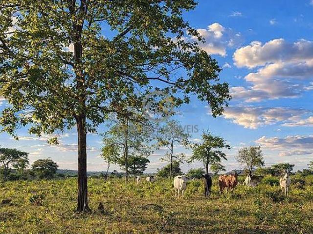 Fazenda para venda em Vila Jardim Rio Claro, Jataí
