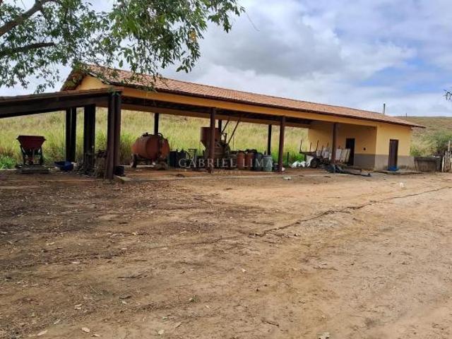 Fazenda para venda em Vila Mariana, Governador Valadares