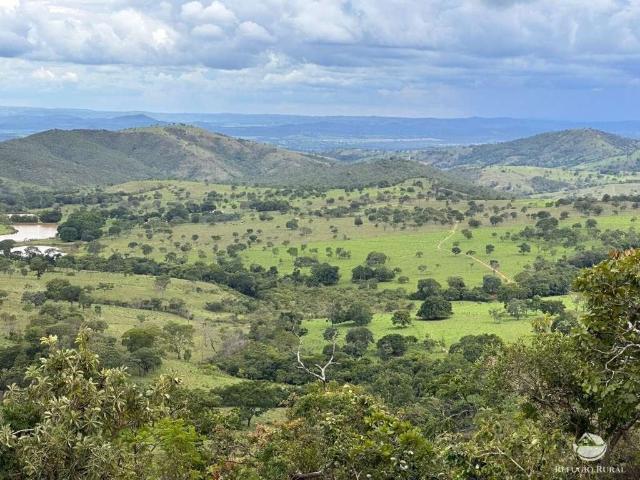 Fazenda para Venda em Vila Propício/GO Centro 6 Quartos
