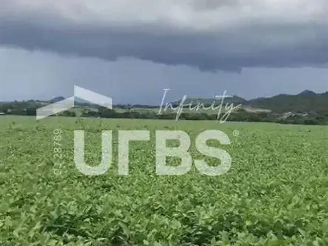 Fazenda para Venda em Vila Propício/GO Centro