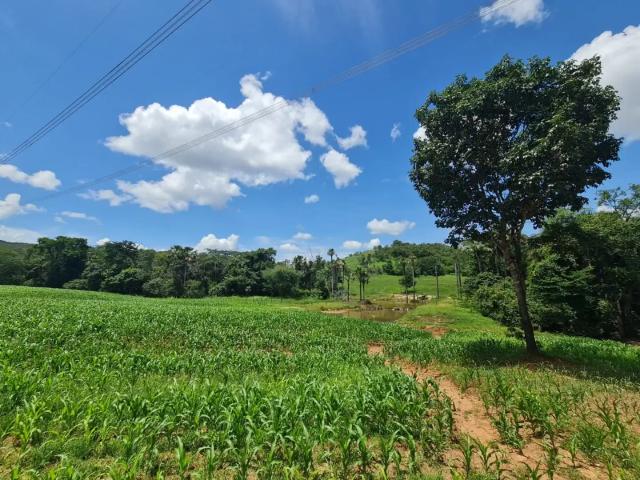 Fazenda para Venda em Vila Propício/GO Zona Rural