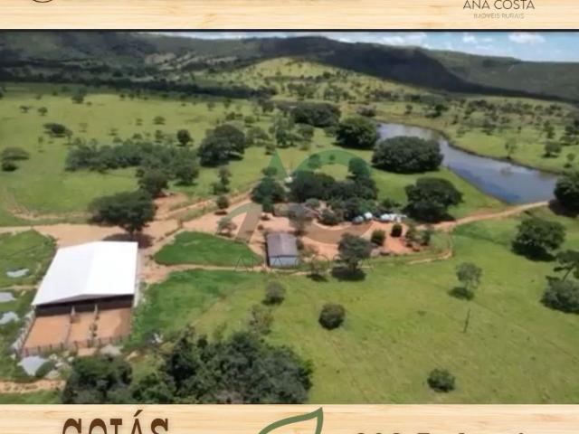 Fazenda para Venda em Vila Propício/GO Zona Rural