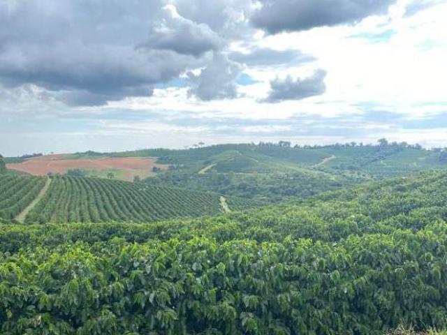 Fazenda para venda em Vila Santa Bárbara, Guaxupé