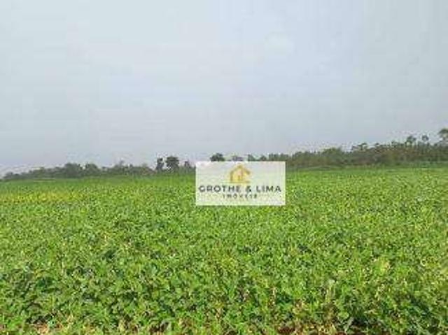 Fazenda para Venda em Xinguara/PA Centro 8 Quartos