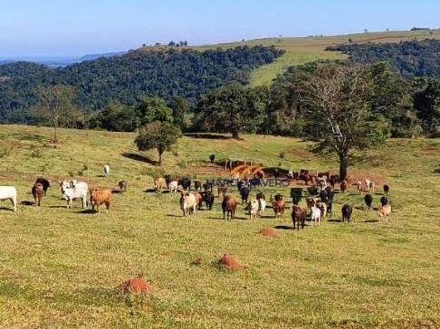 Fazenda para venda em Zona Rural, Botucatu