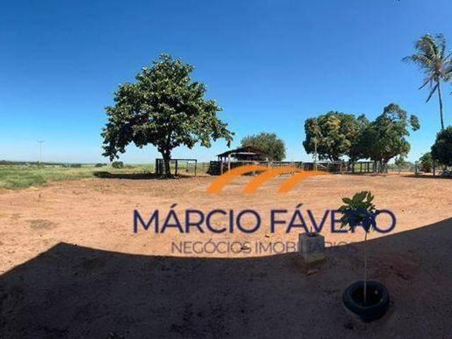 Fazenda para venda em Zacarias