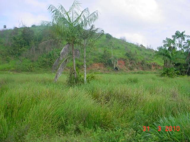 Fazenda para Venda em Zé Doca/MA Vila Nova