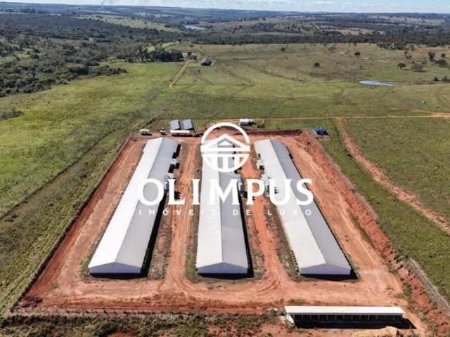 Fazenda para Venda na BR 497 em Uberlândia