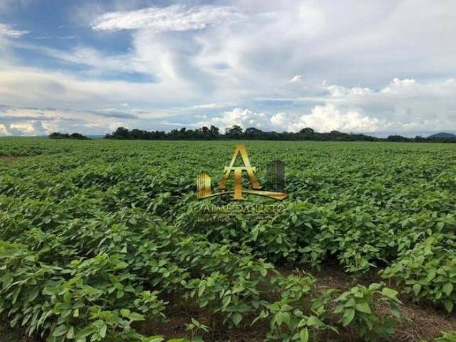 Fazenda para Venda na Região de Maracajú / Guia Lopes MS Confira!