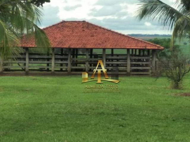 Fazenda para Venda na Região de Presidente Prudente SP Confira!